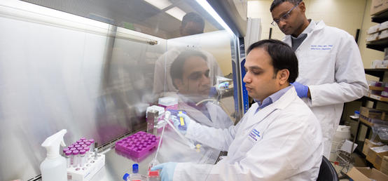 Snyder Test University Of Calgary UCalgary Researchers Develop A New