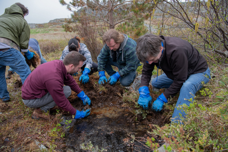 Memorial University of Newfoundland - Ediacaran excavation: Hundreds of ...