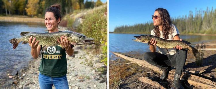 Concordia University - Concordia postdoctoral researcher unites the ...